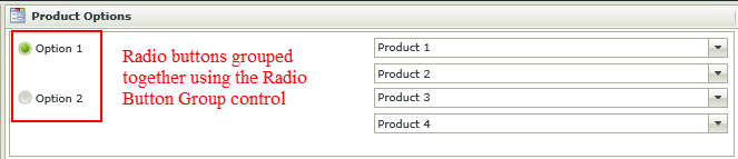 Radio Button controls