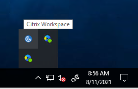 Configure Citrix Post-RPA Clients Installation